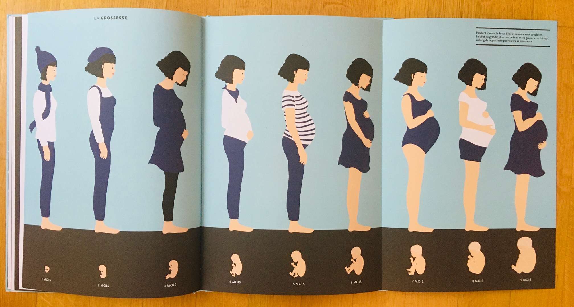 Naissance, de Hélène Druvert (avec la collaboration de Jean-Claude ...