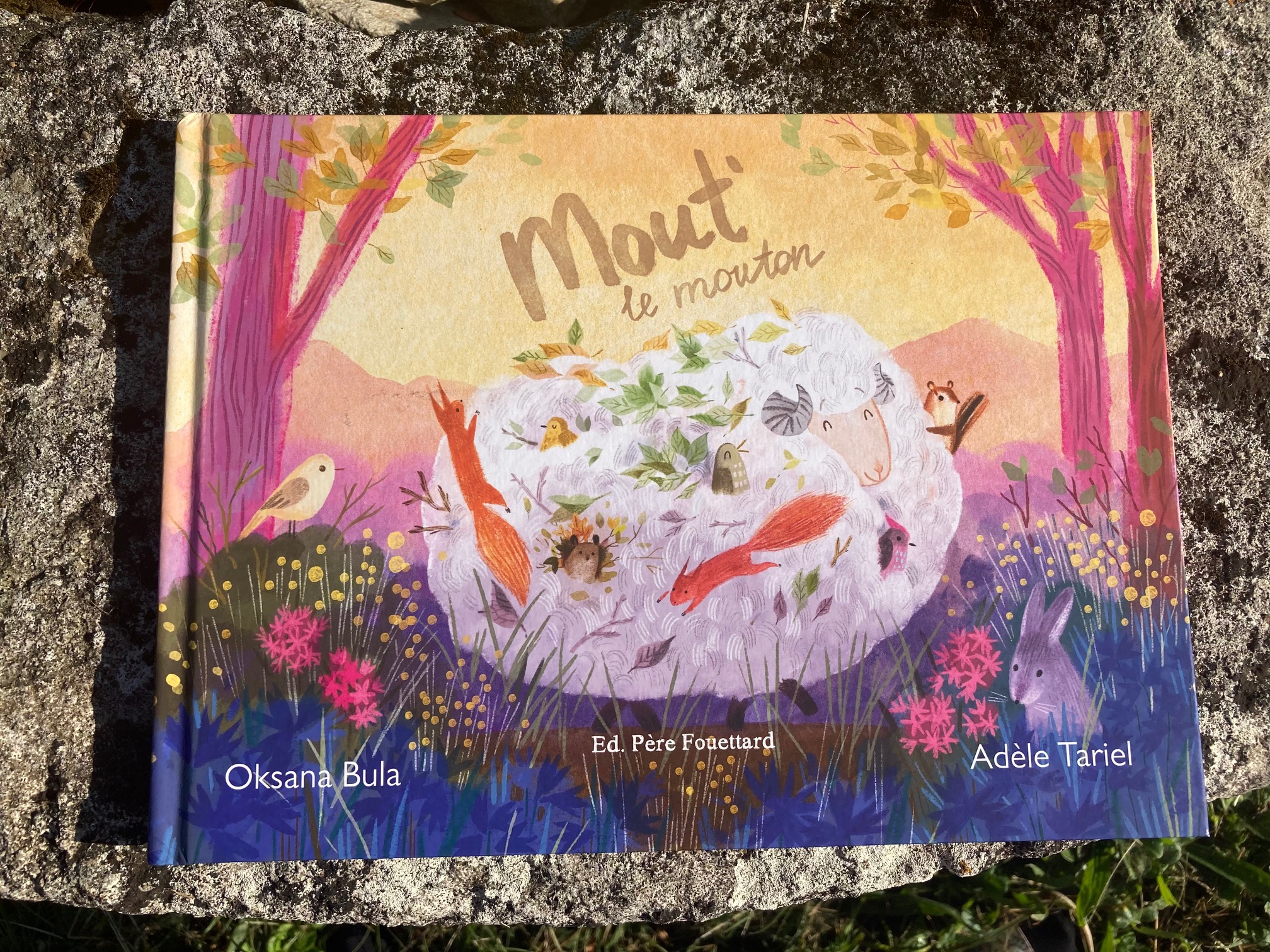 Mout’ le mouton, d’Adèle Tariel, illustré par Oksana Bula (Éditions ...