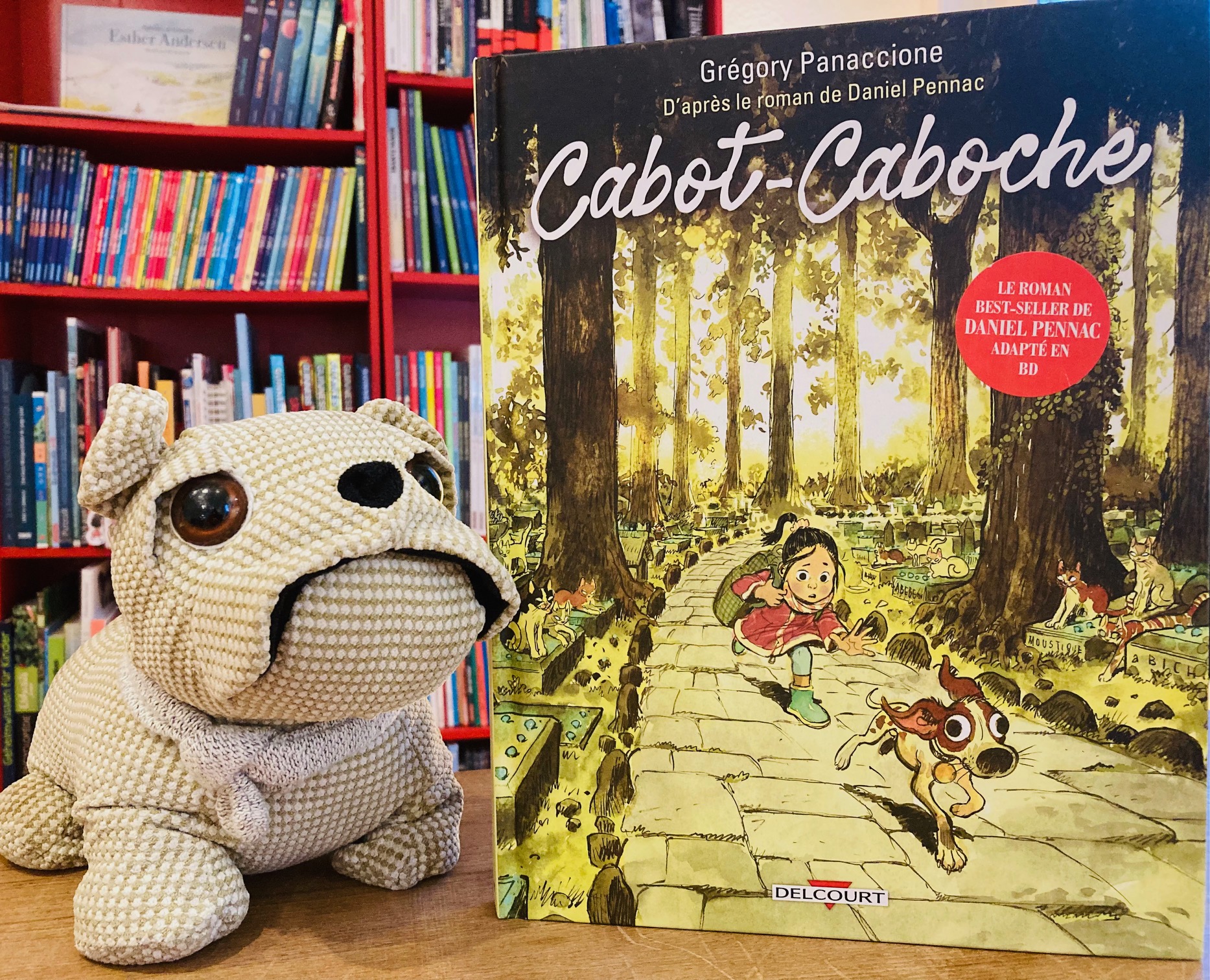 Cabot-Caboche, adaptation BD du roman de Daniel Pennac par Grégory Panaccione (Delcourt, 2021 ...