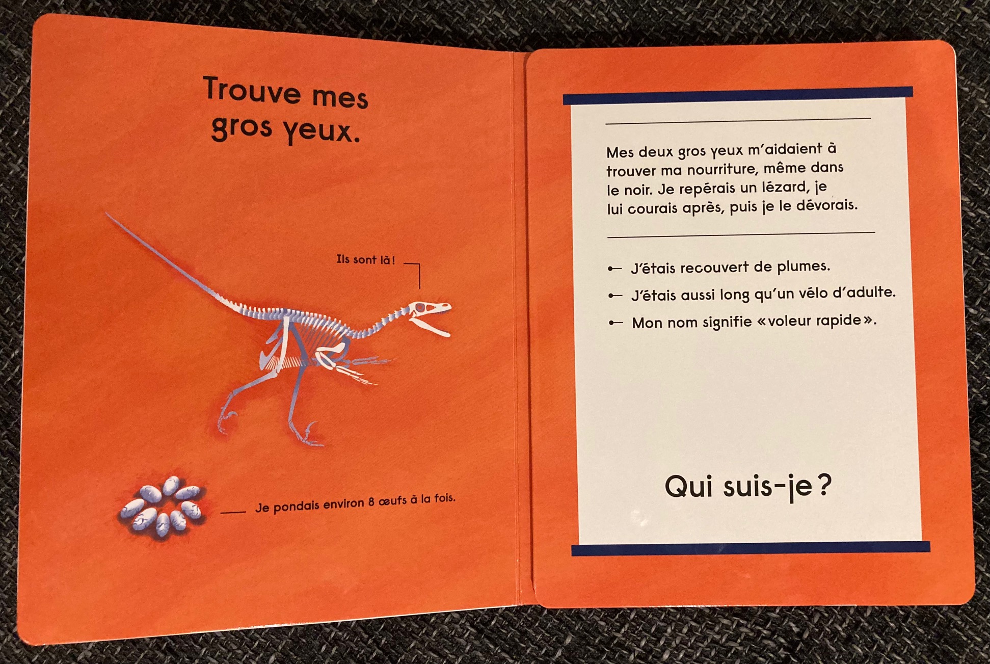 Quel est ce dinosaure ? Un jeu de devinettes sur les animaux, de ...
